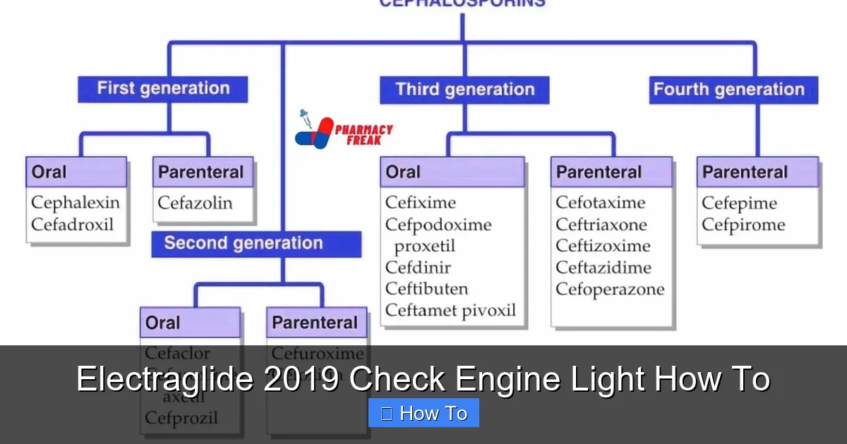 Electraglide 2019 Check Engine Light How To - enginelightfixers.com