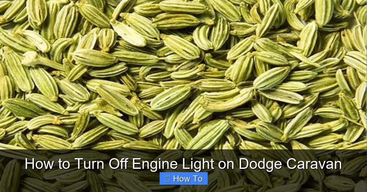 How to Turn Off Engine Light on Dodge Caravan - enginelightfixers.com
